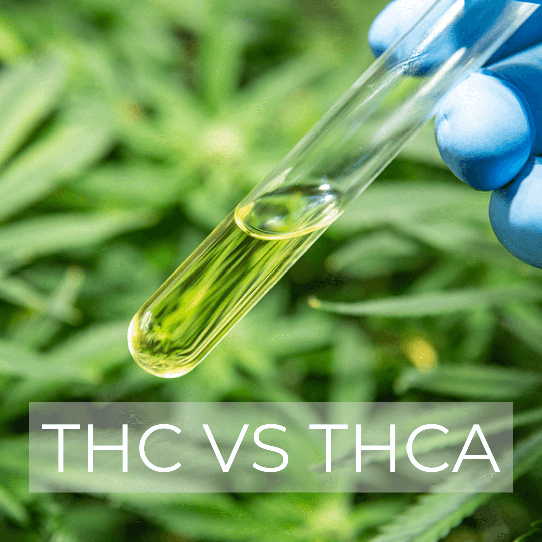 Difference Between THC And THCA Twister Technologies Difference Between THC And THCA Twister Technologies